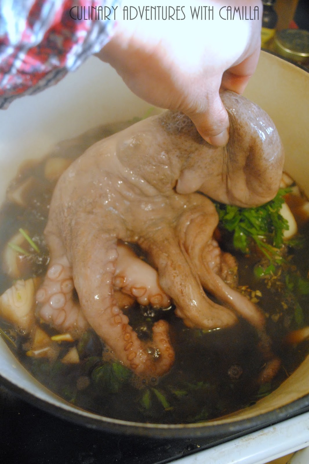 Soy and Sake-Braised Whole Octopus for #FishFridayFoodies