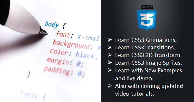 New CSS3 tutorials with Best CSS Examples | PRO TECHNIFY