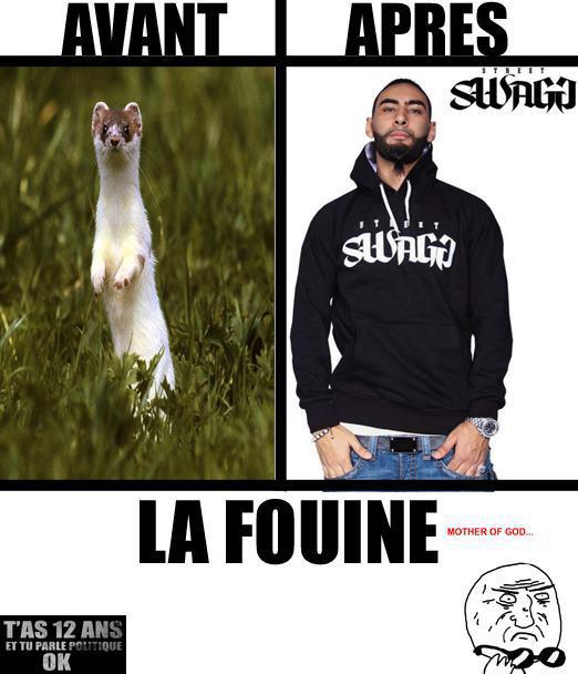 HUMOUR & BLAGUE: La fouine