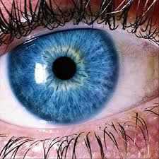 What is a Tyndall effect ~ The Science Core