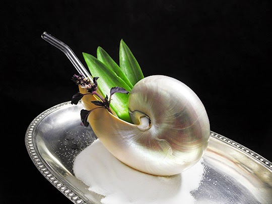 Gastronomista: The Opal Nautilus