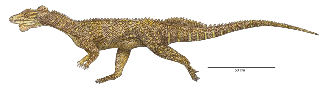 Palaeos, la historia de la Vida en la Tierra: Notas cortas: vecinos amables