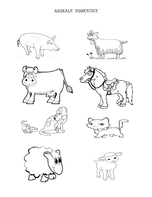 FISE de lucru cu ANIMALE salbatice si domestice :: Fise de lucru - gradinita si scoala