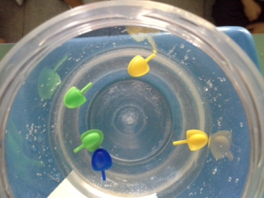 LOS PEQUES DEL COLE: Experimentamos 2 ¿Flota?