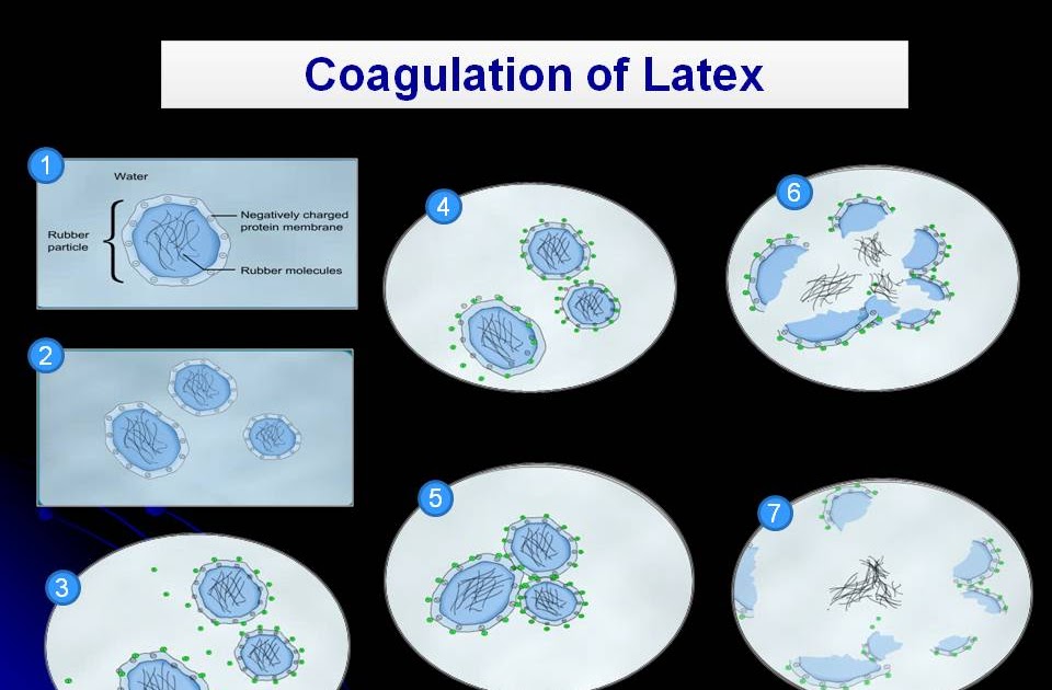 chem2U: Coagulation of Latex