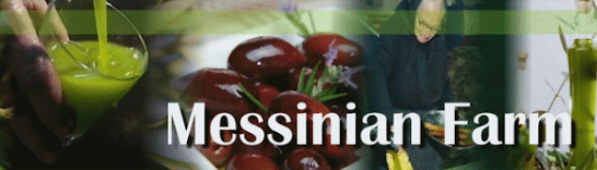 MESSINIAN FARM: ΕΠΙΚΟΙΝΩΝΙΑ