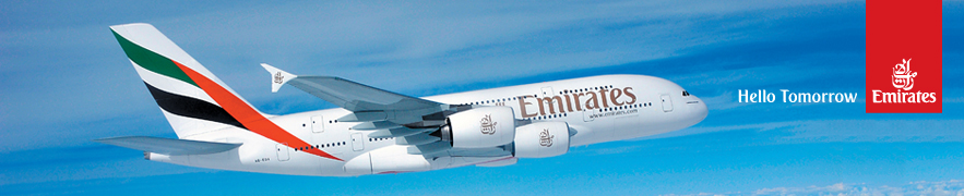 The Domestic Curator: Welcome Aboard Emirates!
