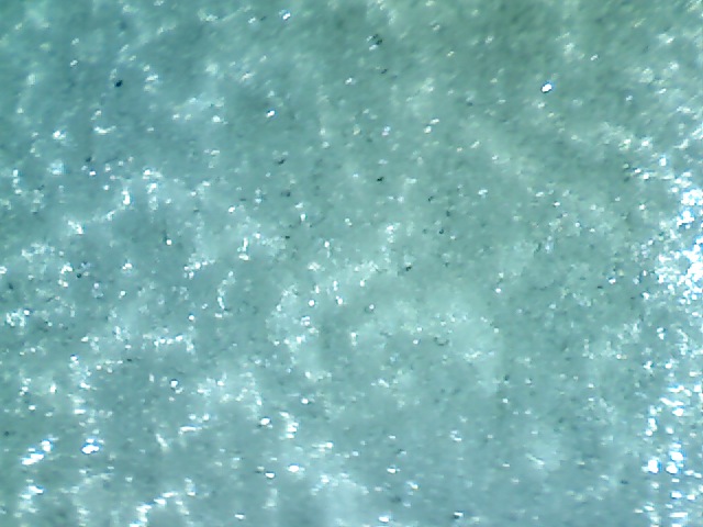 Mrs. Cowen's First Grade