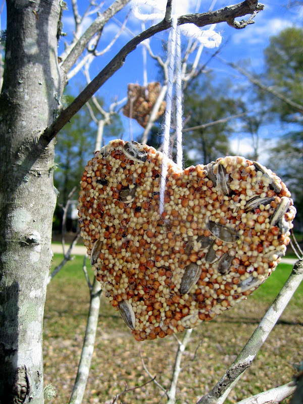 Birdseed Biscuits (Kid Craft)