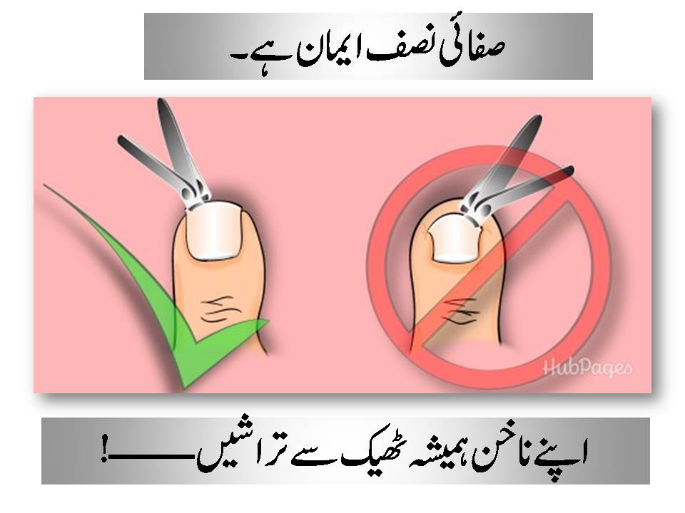 Teach your Students How to Cut Nails - Nail Cutting methods | School ...