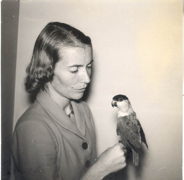 Heroínas: María Koepcke ornitóloga, dibujante, coleccionista, viajera