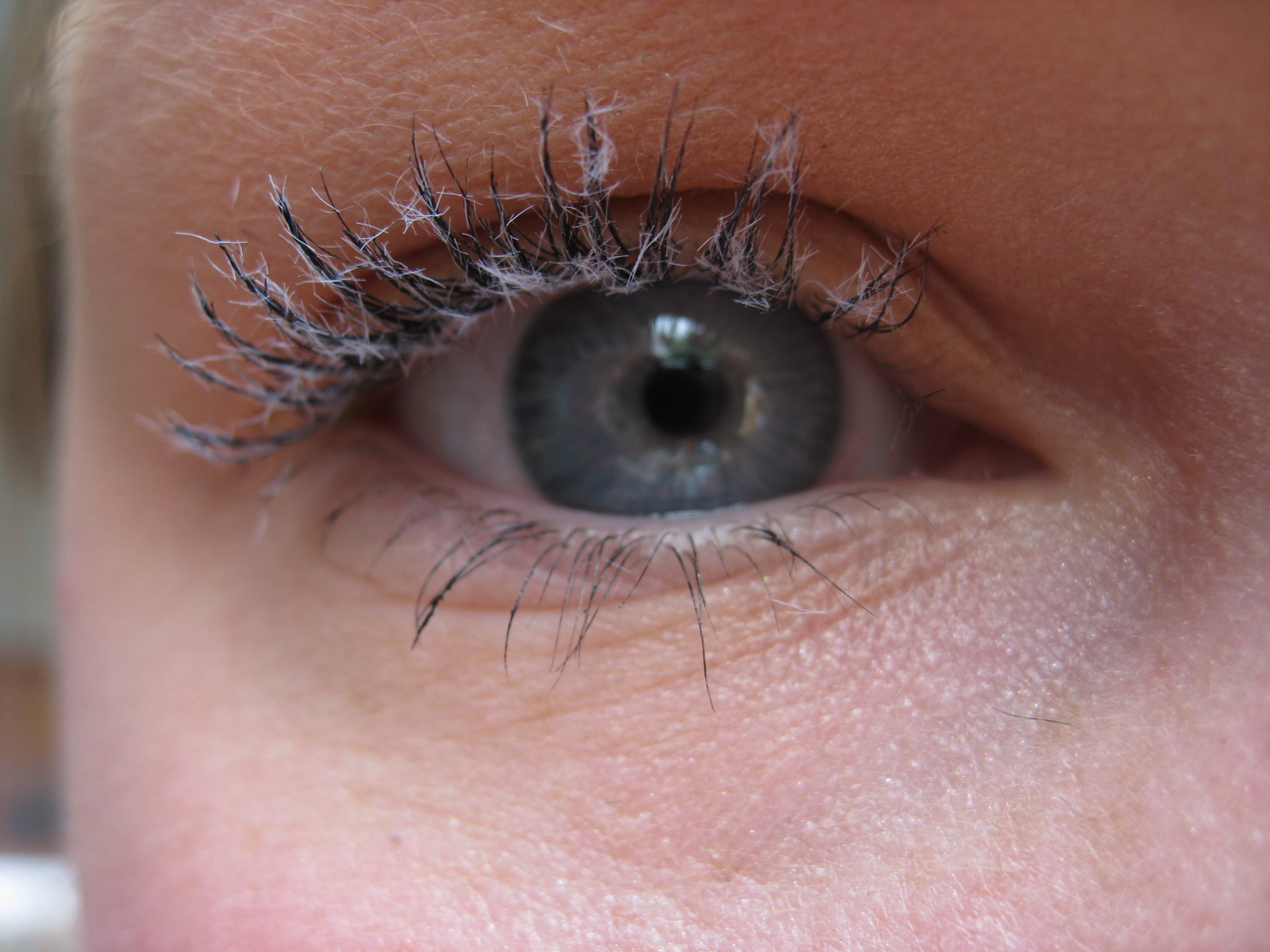 .: Model Co. Fibre Lash Review and Demonstration