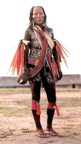 The iCross-Cultural Citizen Project-Our Indigenous World: Kayapo ...