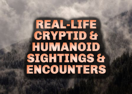 Please enable JavaScript