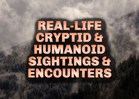 Phantoms and Monsters - Real Cryptid Encounter Reports - Fortean ...