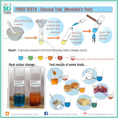 Its SciTime: Glucose Test (Benedict's Test)