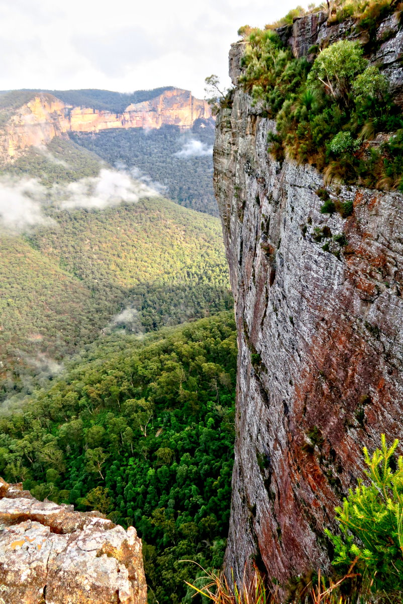 Mountains: Walls Lookout & Blue Mts Botanic Garden, NSW Blue Mts, Australia