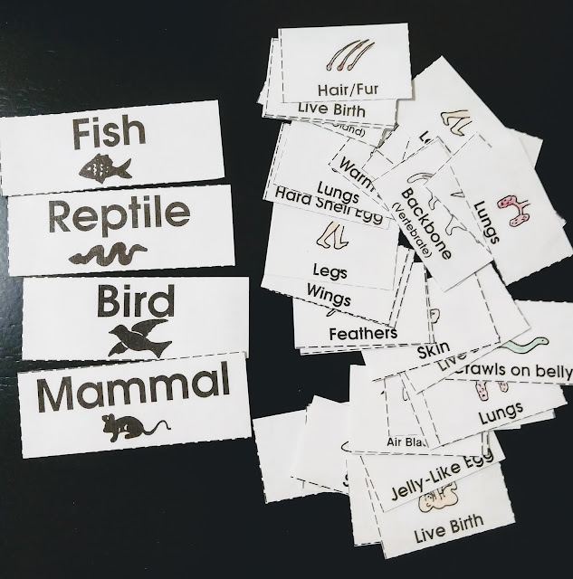 Cambridgeshire Academy™️: 1st Grade Animal Study