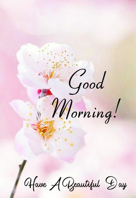 Best Good Morning Images