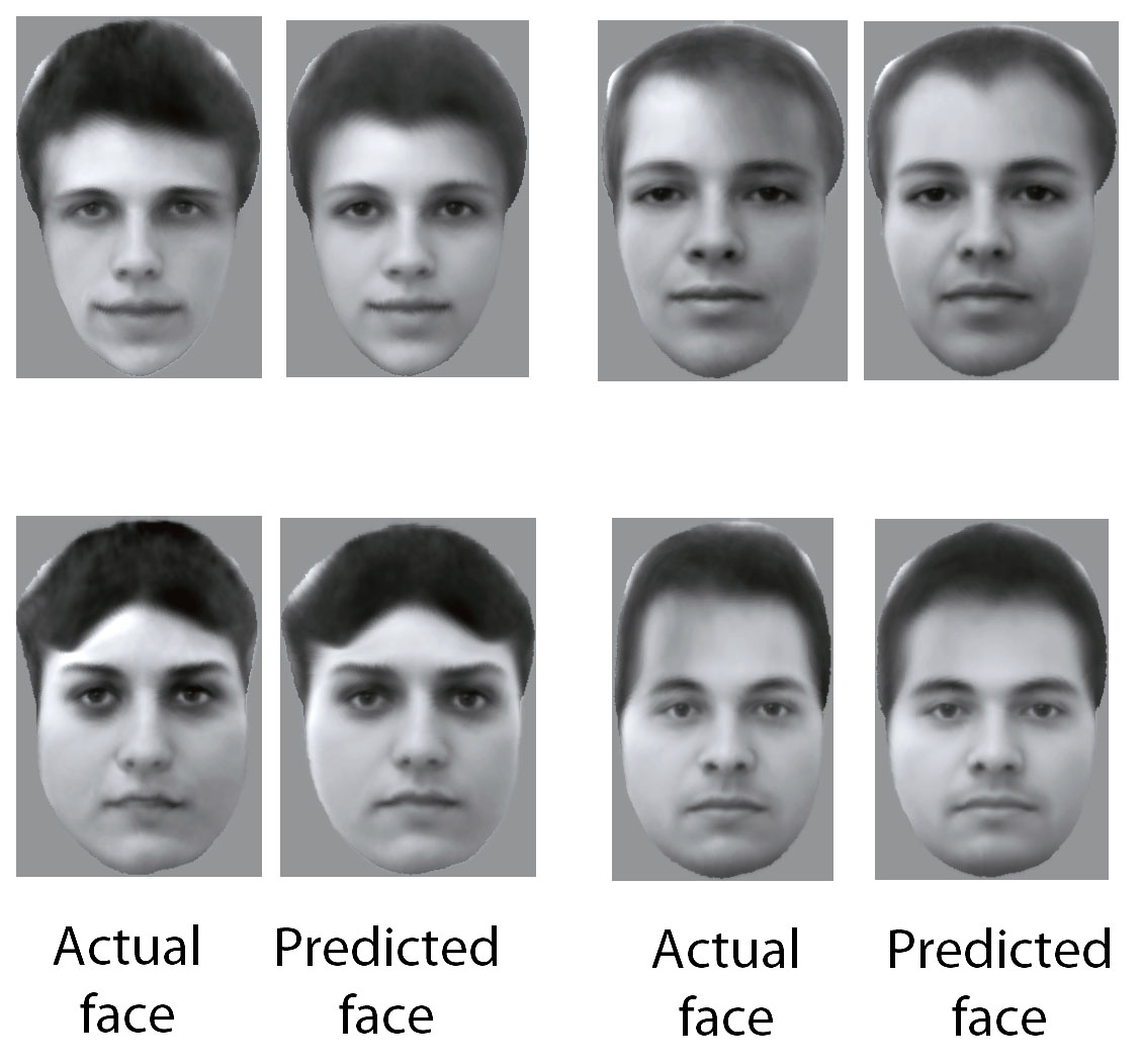 Gurney Journey: Cracking the Code of Face Recognition
