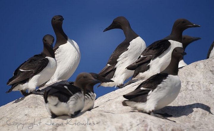 Adventures on the Eastern Edge: February 2012