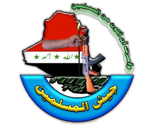 Guerrillas in the Midst: Iraqi Resistance (2003-2012)