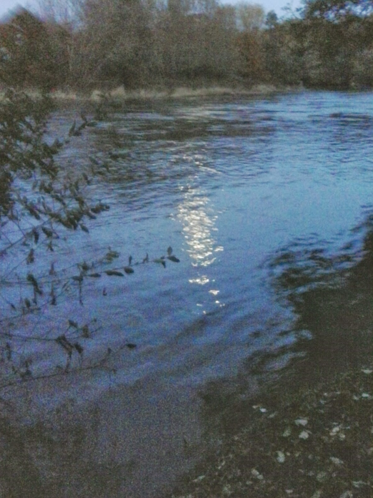 words and ideas, poetry and images: haiku. moonlit river. distant