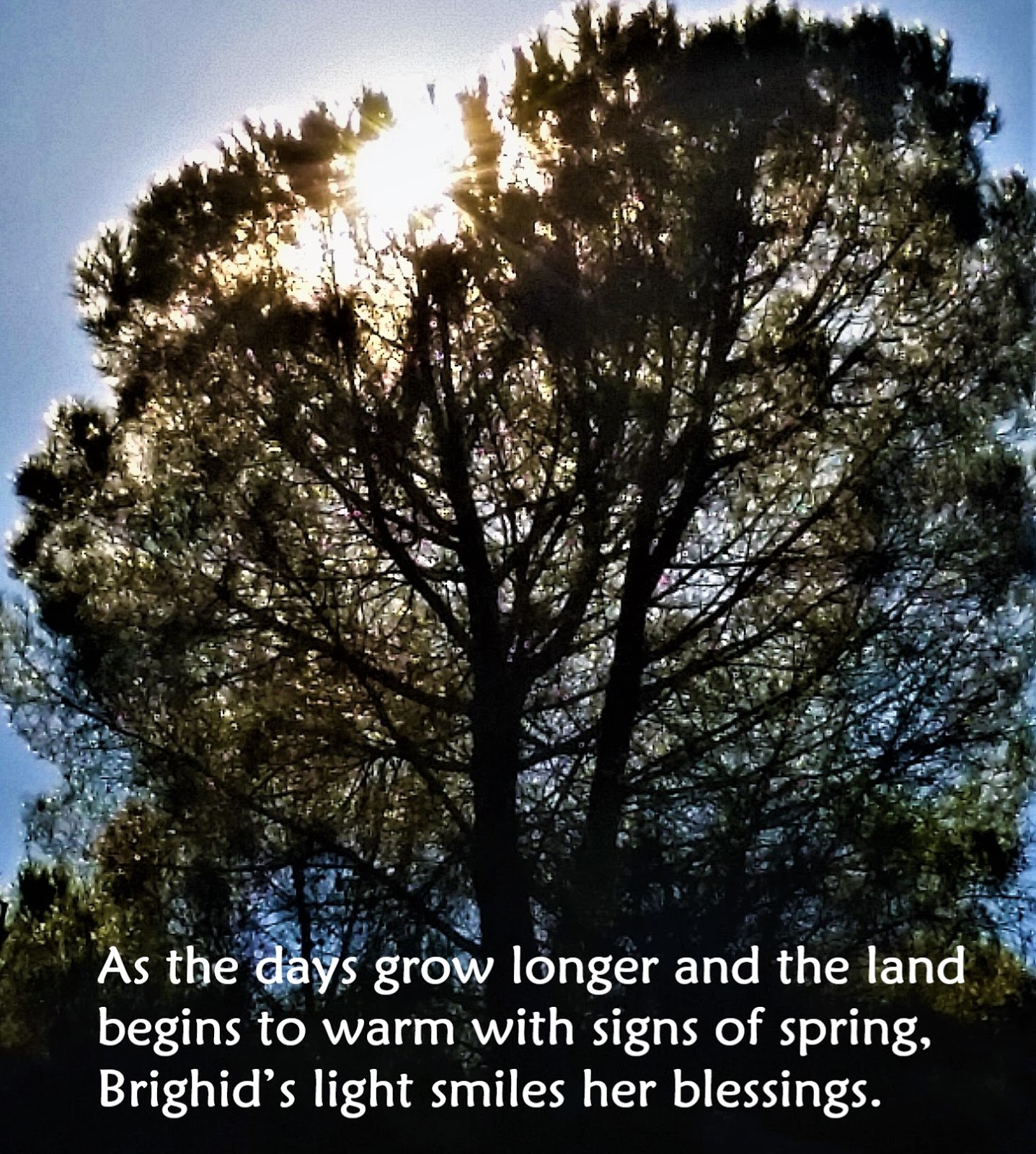 A POEM A DAY - IMBOLC