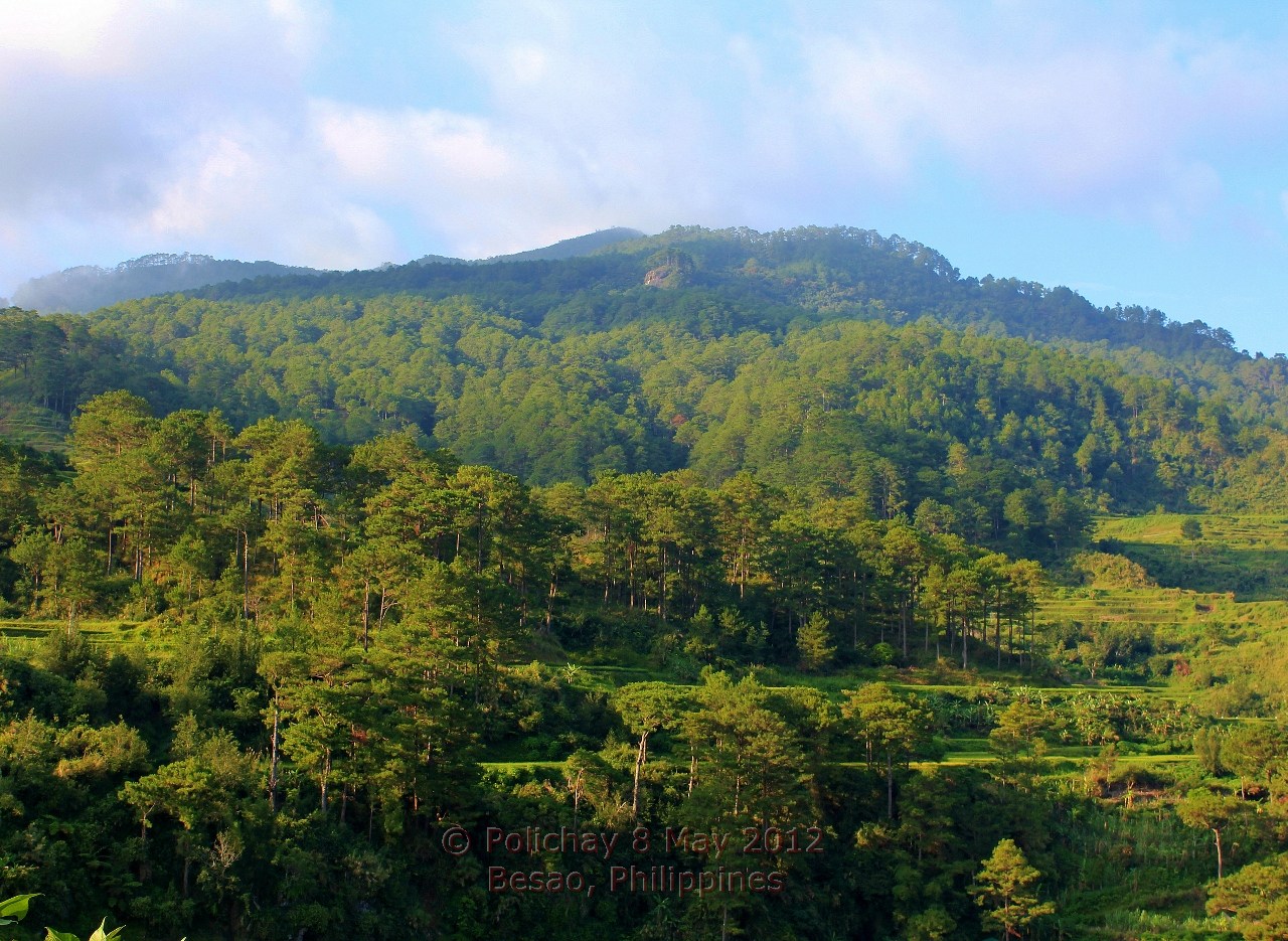 An Igorot Journey: Images of Besao