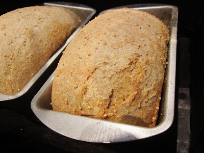 Chef Tess Bakeresse: Bold Better Bread Workshop...101 on Whole Grain Bread