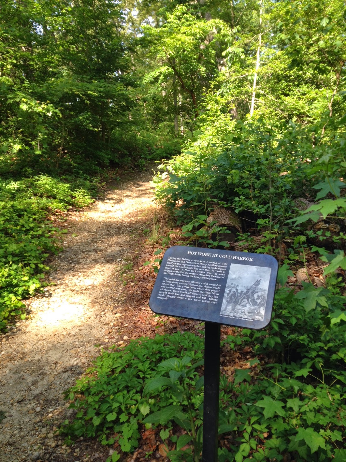 All Not So Quiet Along the Potomac: Commemorating the 150th of Cold Harbor