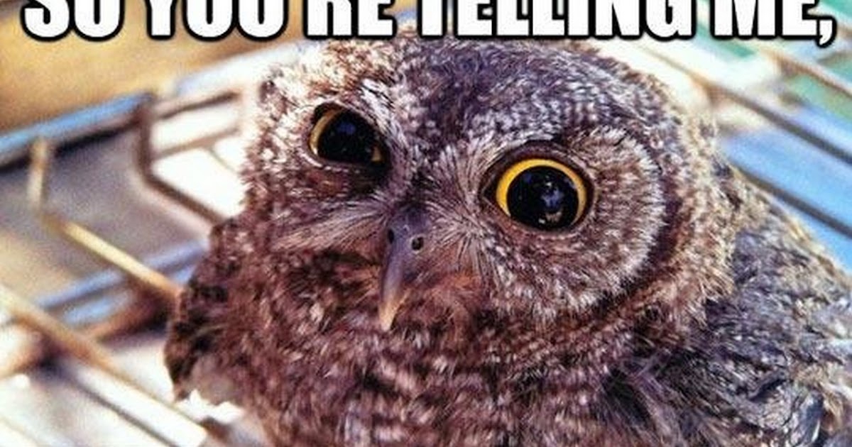 Chuck's Fun Page 2: Humor delivered in the meme format - 24 images