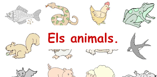 Mis alumnos: Rosana.primaria: VOCABULARI : ELS ANIMALS