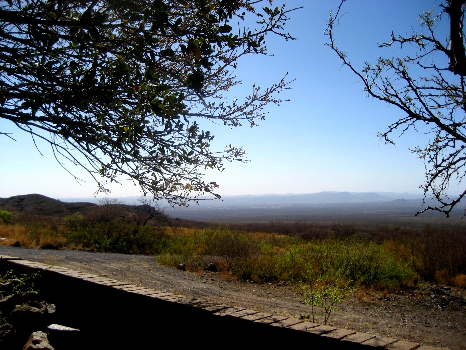 Living Rootless: April 2013