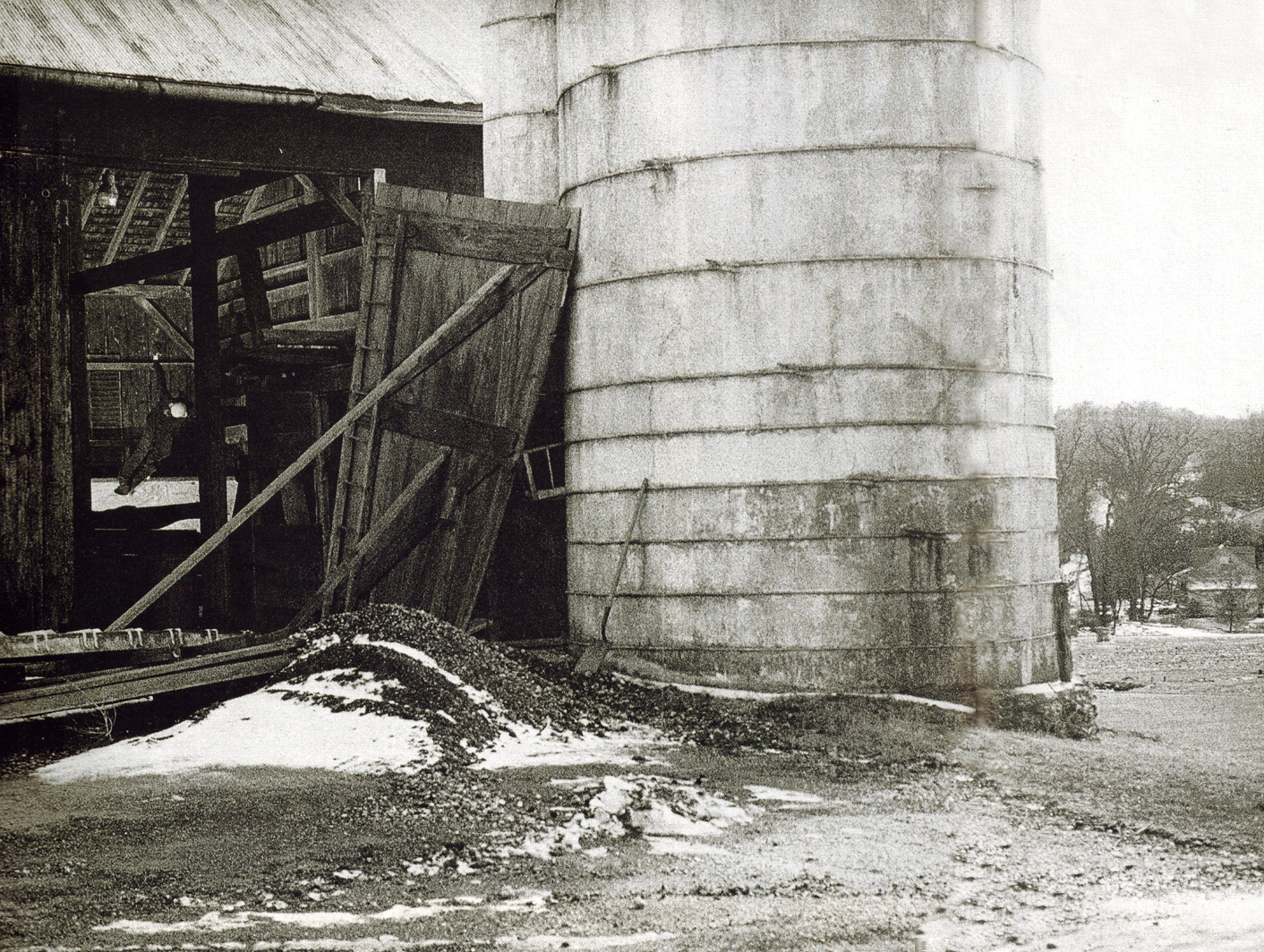 the chrome ball incident: chrome ball interview #130: jake rupp