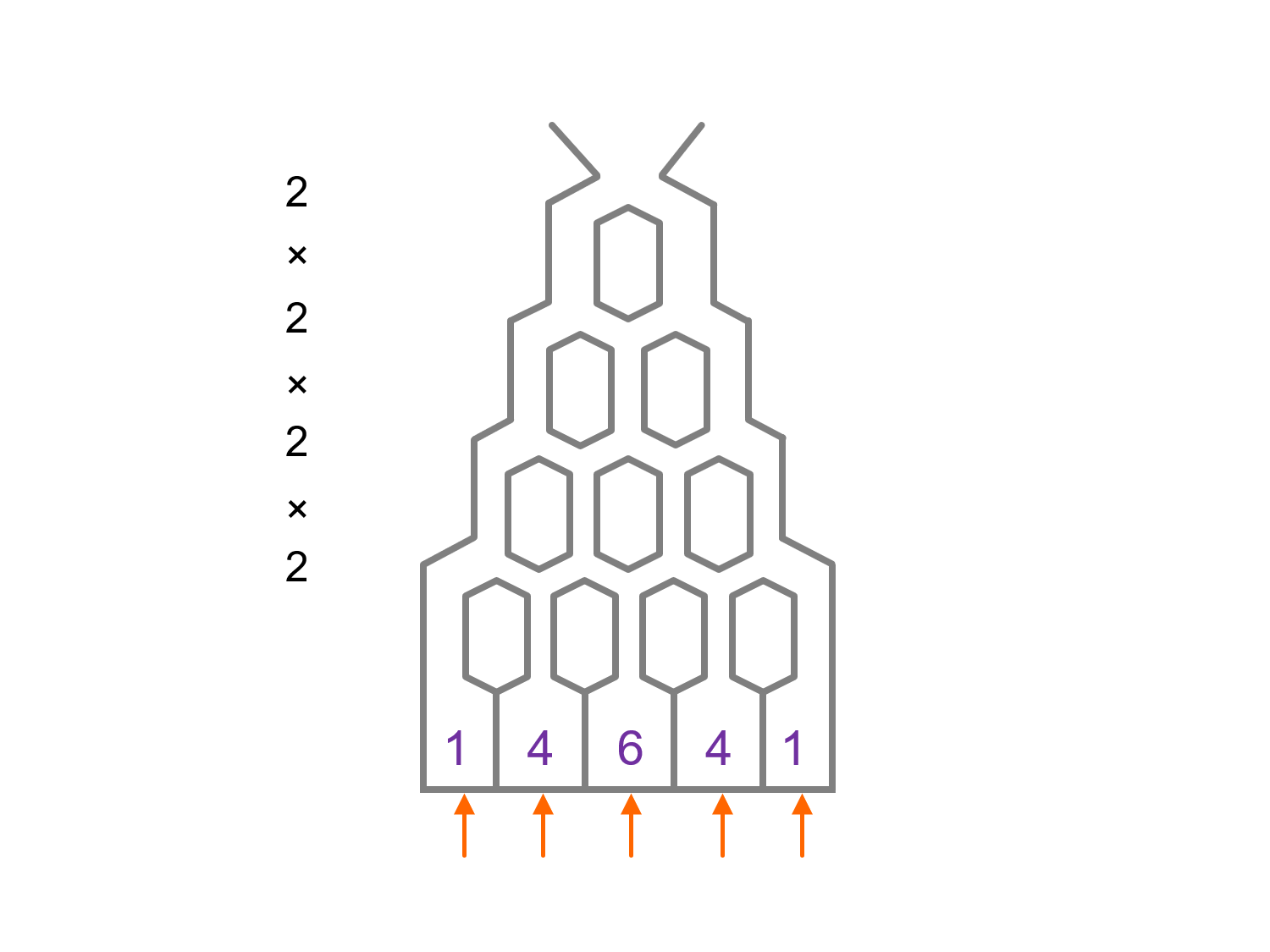 MEDIAN Don Steward mathematics teaching: Galton's quincunx