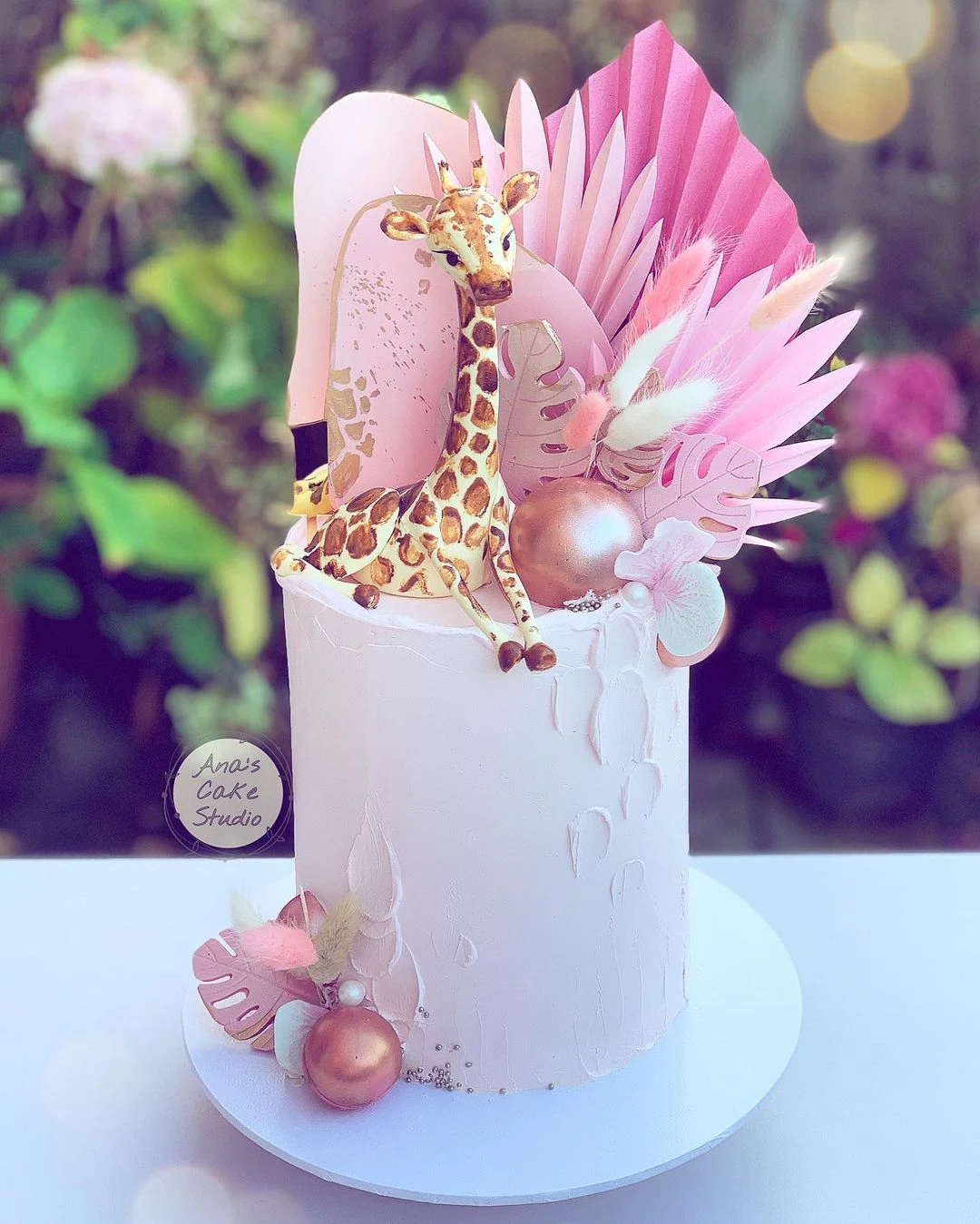 20 Ana's Studio Cake designs that are overly cute. | Melody Jacob