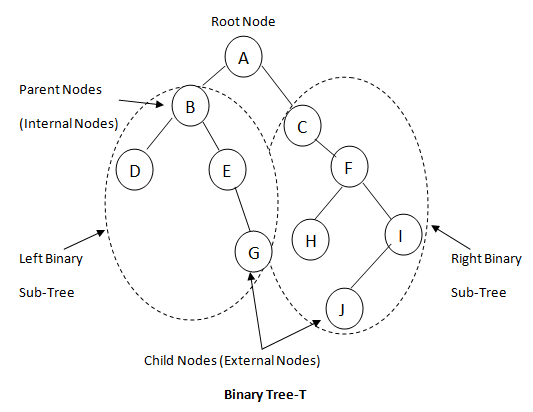 Data Structures And Algorithms Dsa Using C C Tree Data Structure