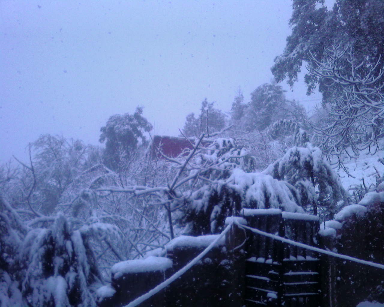 Tunisia-Tunisie-تونس: Ain Drahem, Tunisia