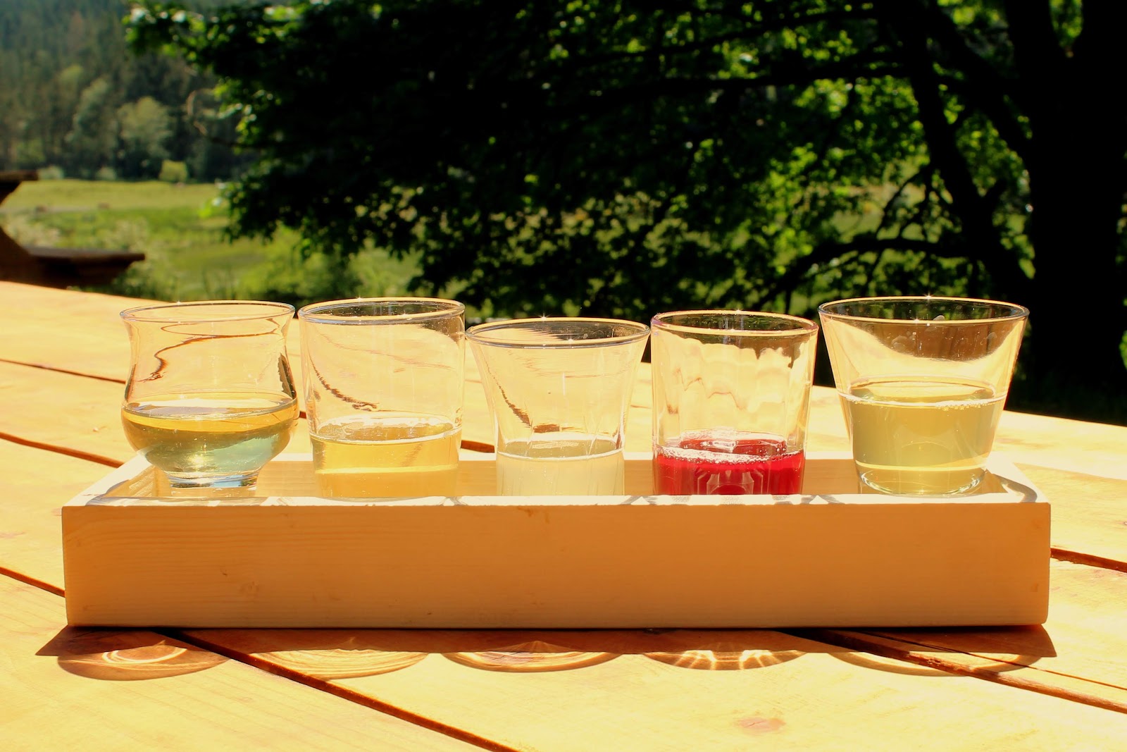 The Murray Chronicles : Salt Spring Wild ~ a craft cidery on Salt ...