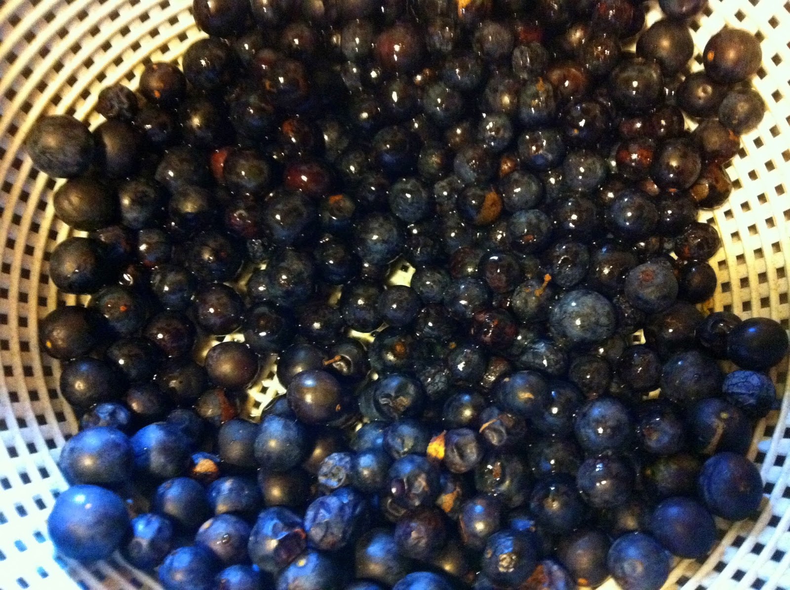 LA MUY DIGNA: PACHARAN CASERO CON ENDRINAS SILVESTRES