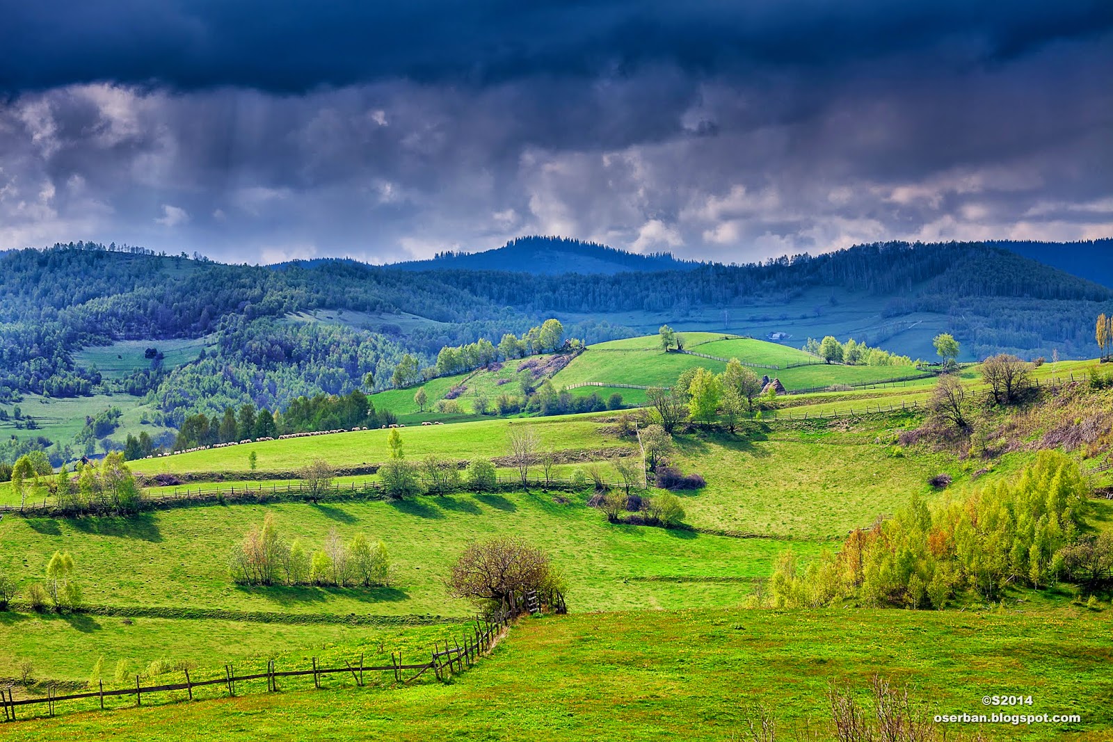Octavian Serban: Somewhere in Romania...spring time...