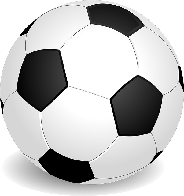 NCERT SOLUTIONS FOR CLASS 10 ENGLISH NOTES THE BALL POEM JOHN ncert-solutions-for-class-10-english-notes-the-ball-poem-john