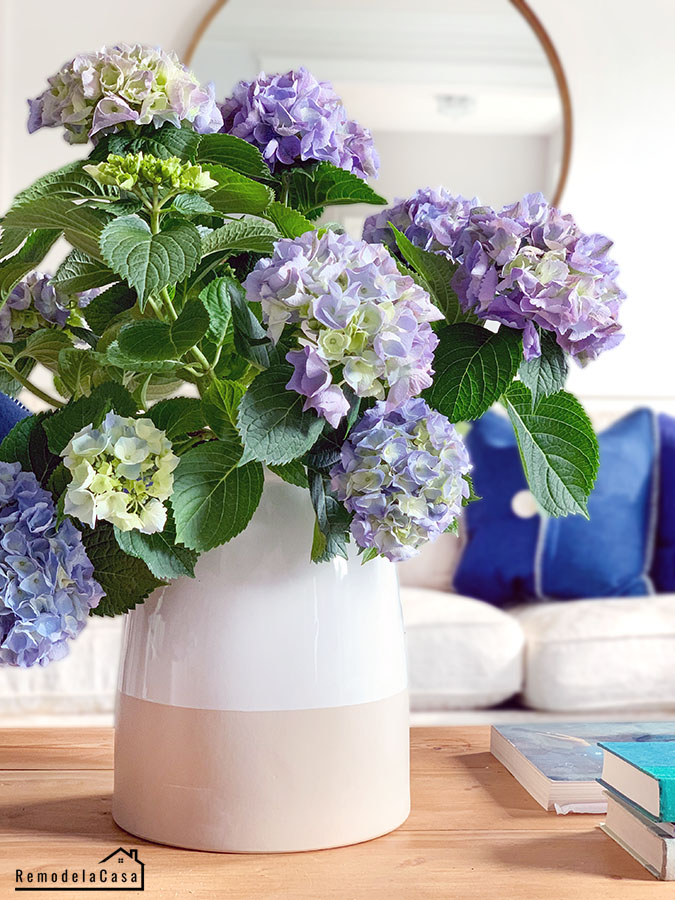 Simple Ideas to Refresh a Room - Remodelando la Casa