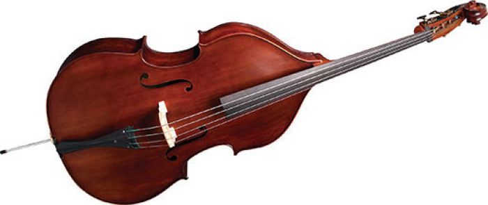 6 Modelos de Contrabaixo para Conhecer - GRAVE.MENTE.MUSICAL