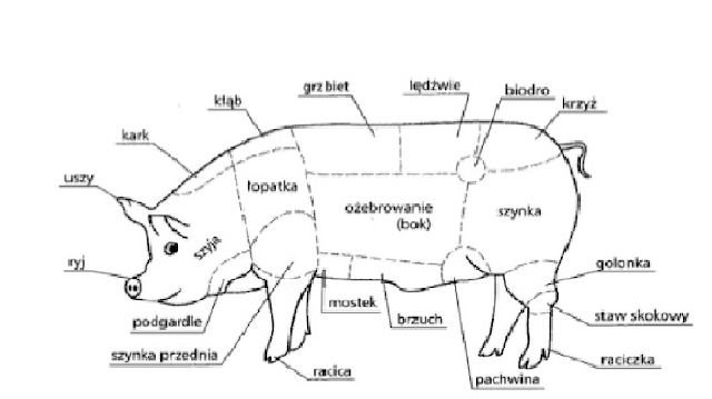 Lekcja 45 ''Pokrój trzody chlewnej''