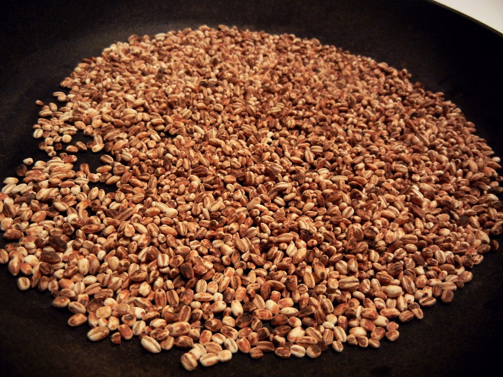 Beef and Barley Soup