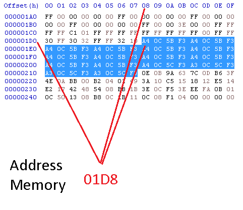 Decimal Auto Dash Number To HEX