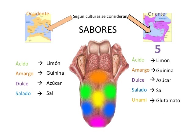 Cuantos sabores conoces ? ~ Nuevo BlogOPin.a®