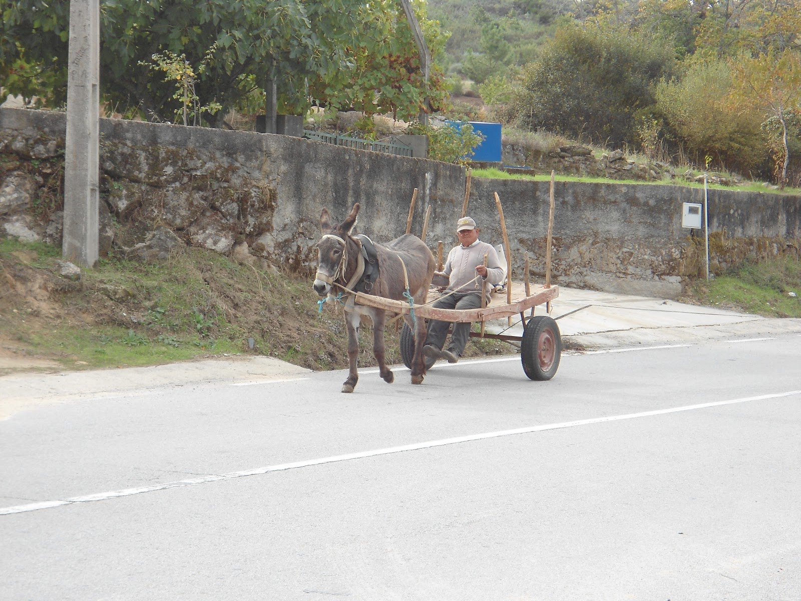 Lampaça: Lampaça - Do descanso à lida da terra